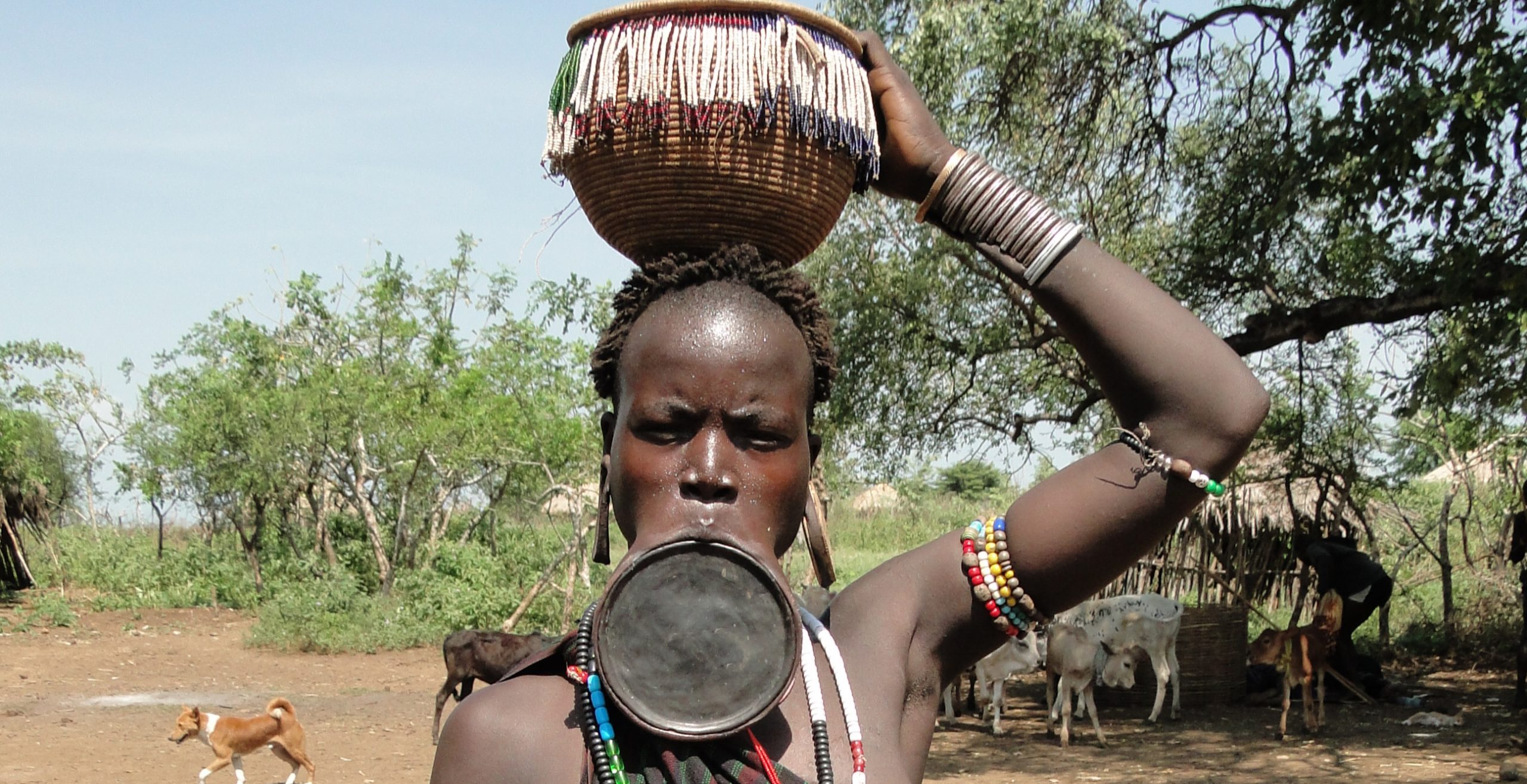 La vallée du Rift, de Harar aux ethnies de la vallée de l'Omo - Harmony ...